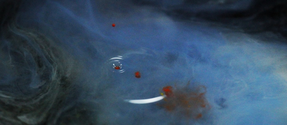 ACIDMAN | Official Site